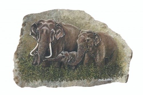 "Thunpath Raana" (Wildlife SL) - Sri Lankan Art Gallery