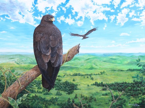 Eagle Has Landed (Black Eagles) - Sri Lankan Art Gallery